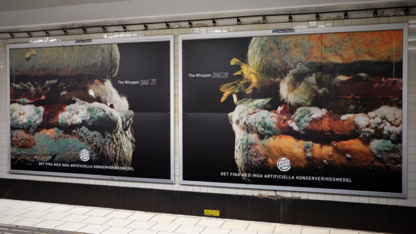 Shockvertising Brilliance of Moldy Whopper | Adtech Today